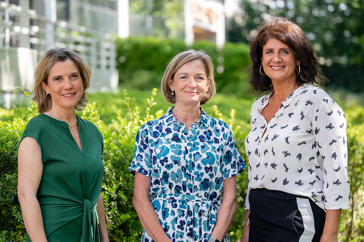 Spring Partners | Transforming People & Organisations